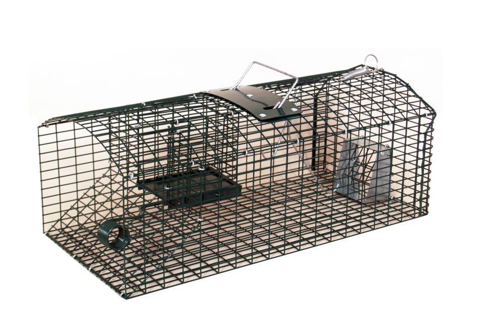 NASSE A RATS MULTIPRISES - TYCOON | Ediloisir